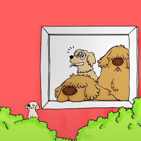 National Dog Day 2016 | WEBTOON