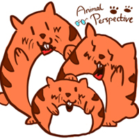 Animal Perspective | WEBTOON