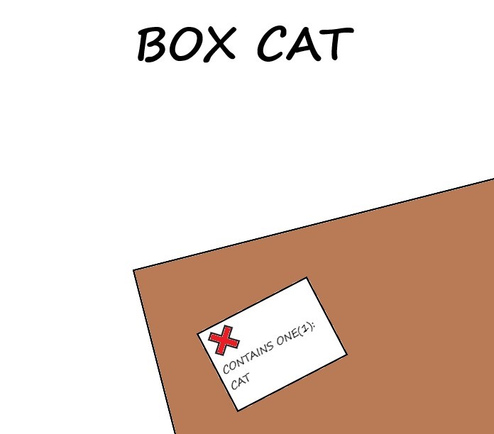 Box Cat | WEBTOON