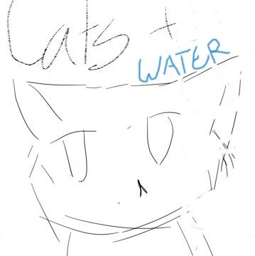 Cats + Water | WEBTOON