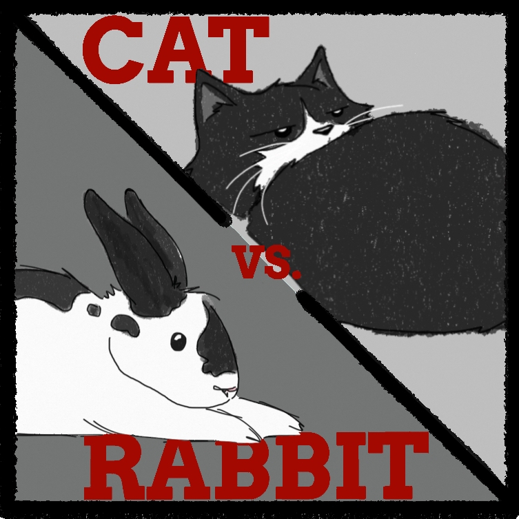 Cat Vs. Rabbit | WEBTOON