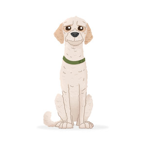 My dog | WEBTOON