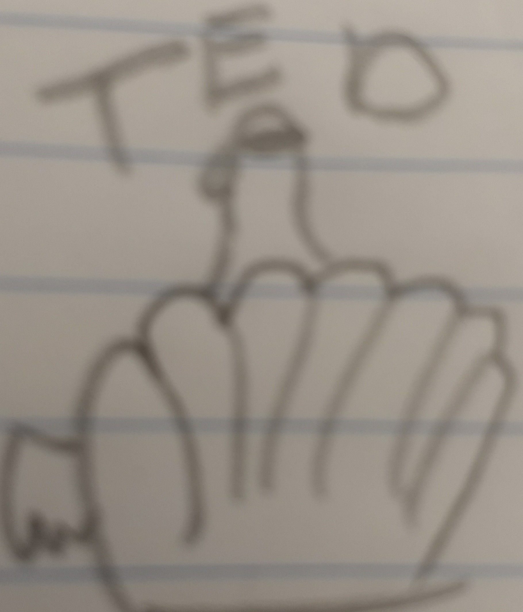 Ted The Turkey | WEBTOON