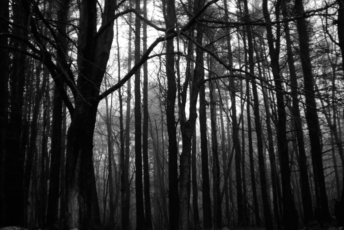 Skeleton Forest | WEBTOON