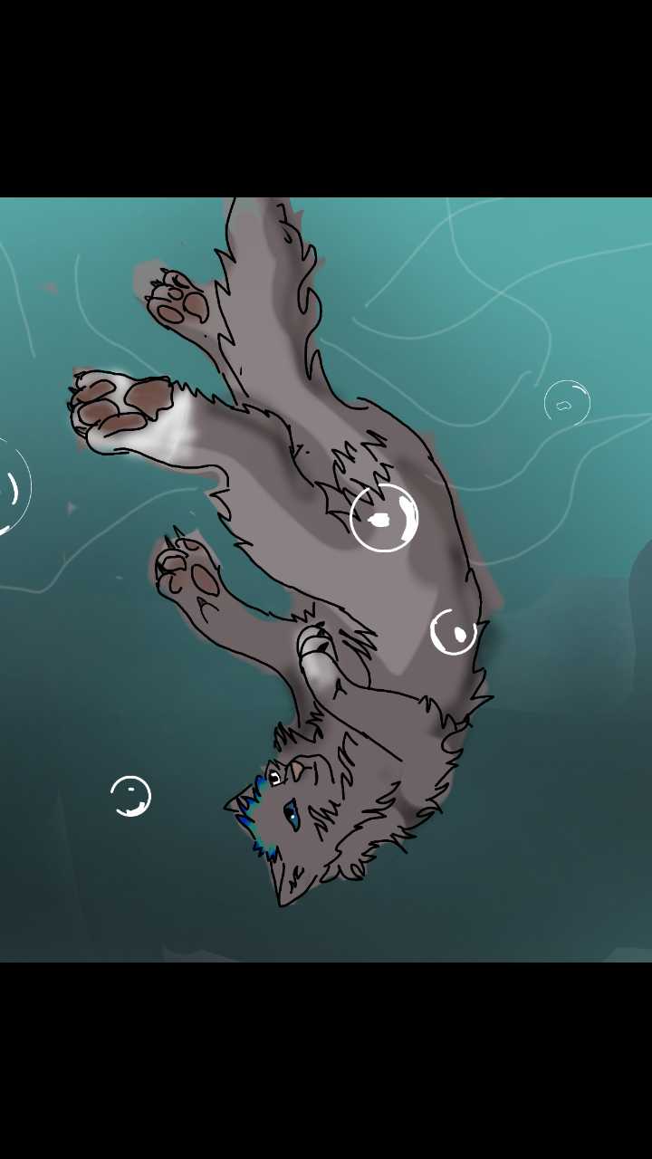 The Last Symbol | WEBTOON