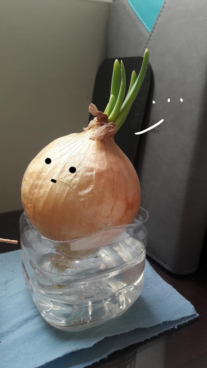 The Tales of Onion | WEBTOON