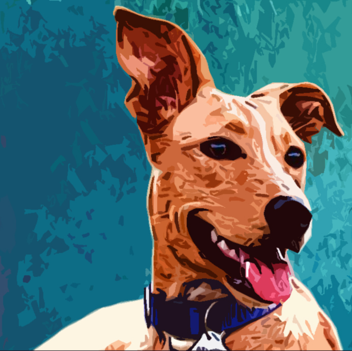 Paws'n'Claws | WEBTOON