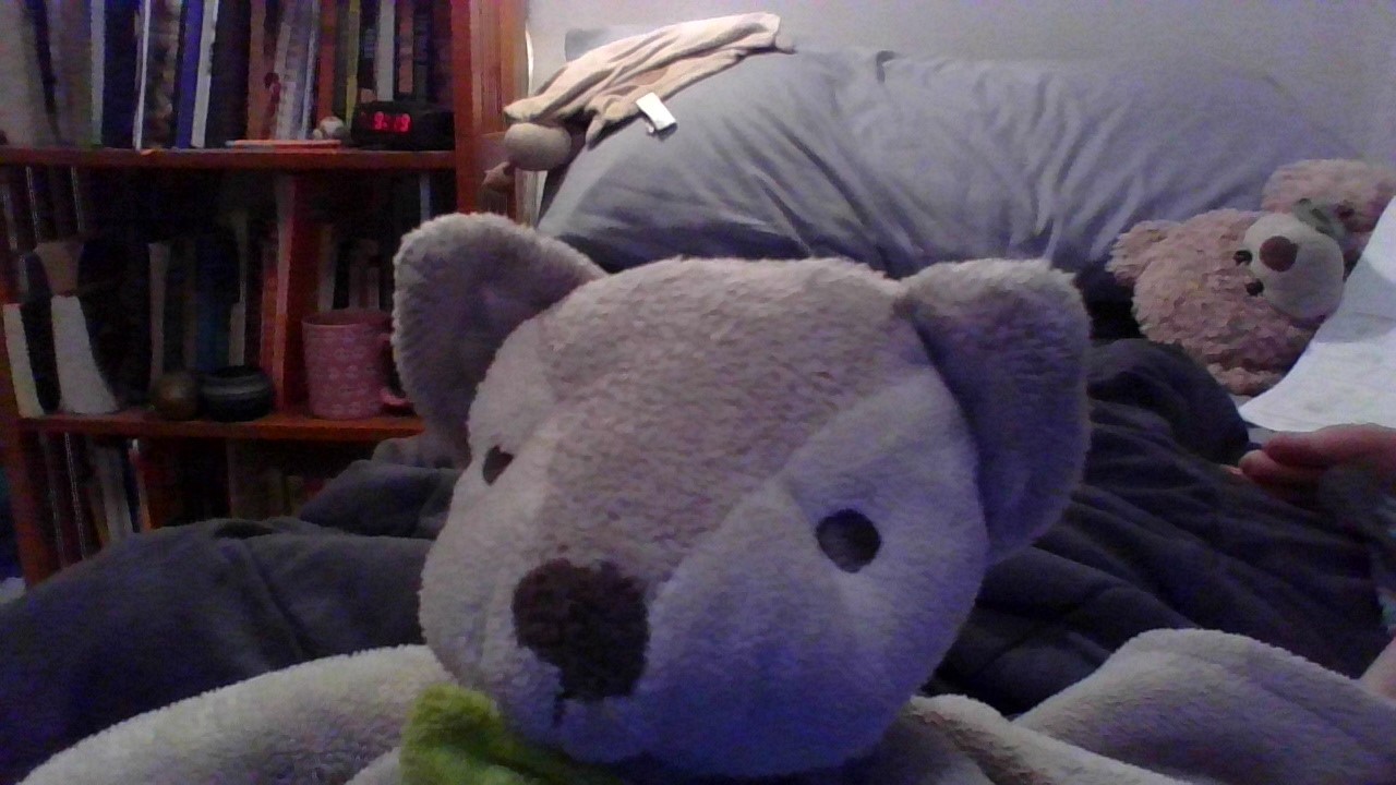 Stuffed with fun | WEBTOON