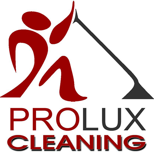 ProLux Cleaning | WEBTOON