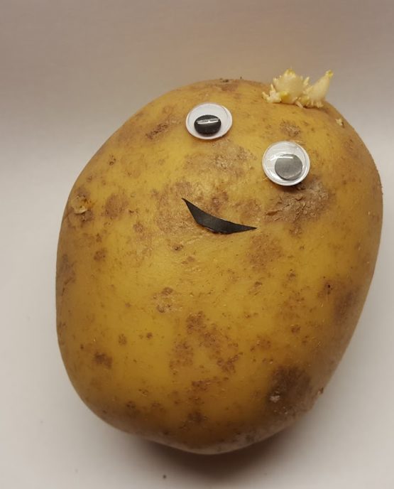 spicy potato | WEBTOON