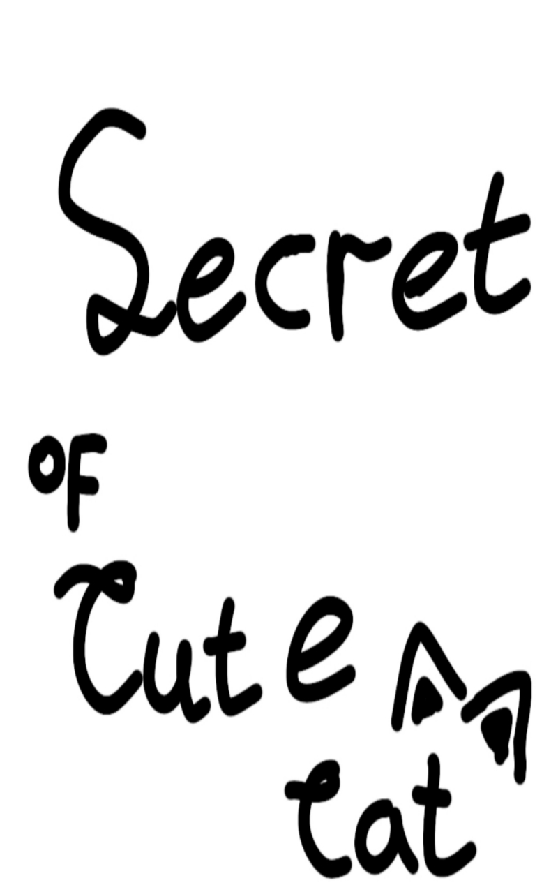Secret of cute cat | LINE WEBTOON