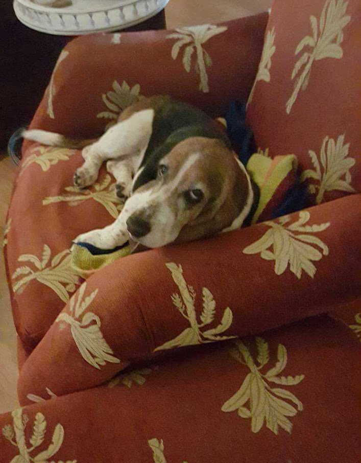 The weird guy | WEBTOON