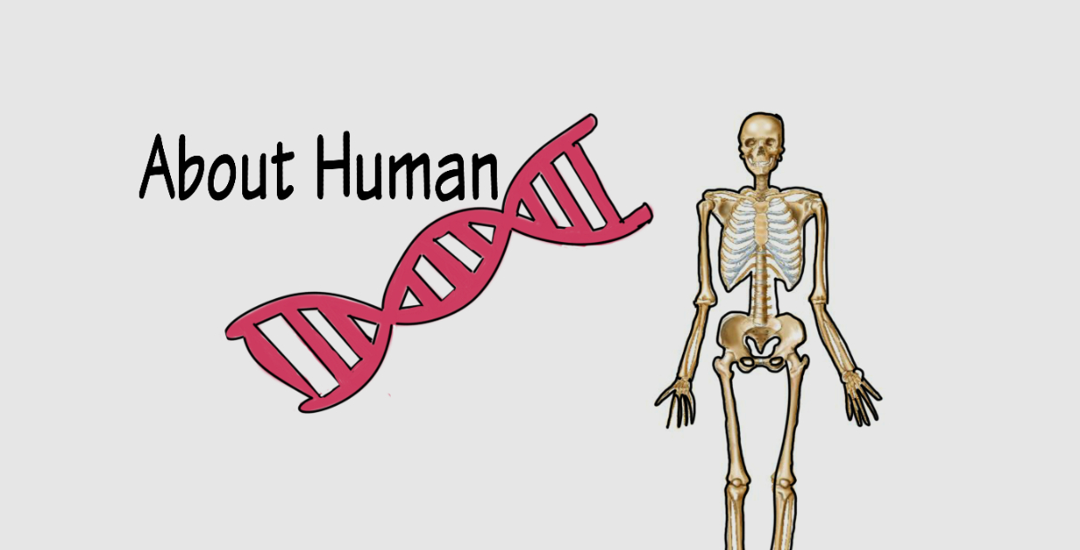 our anatomy - About human | LINE WEBTOON