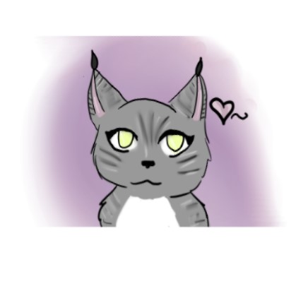 Bella's Kitty Life | WEBTOON
