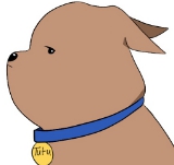 Animal SheNANIgans | WEBTOON