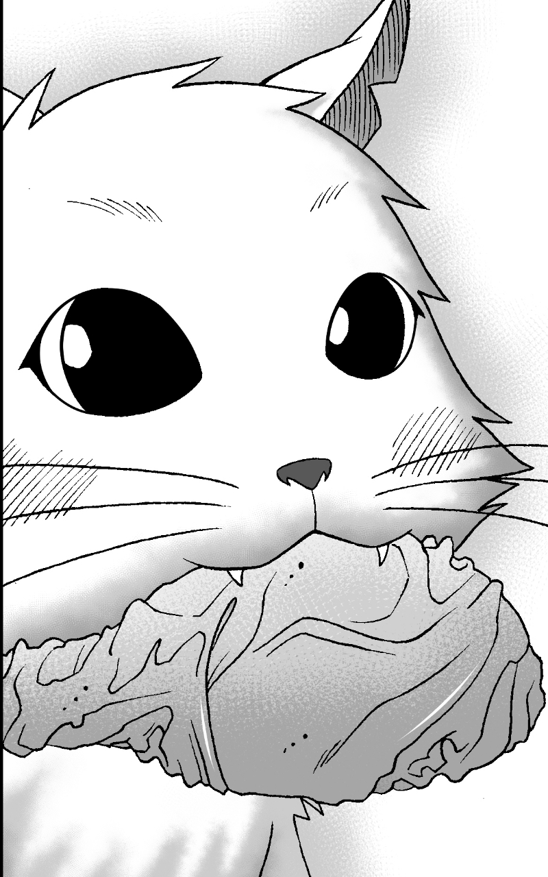 The Man and The Cat | WEBTOON