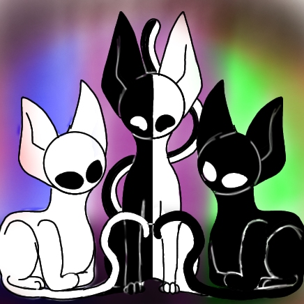 Symbol of cats | WEBTOON