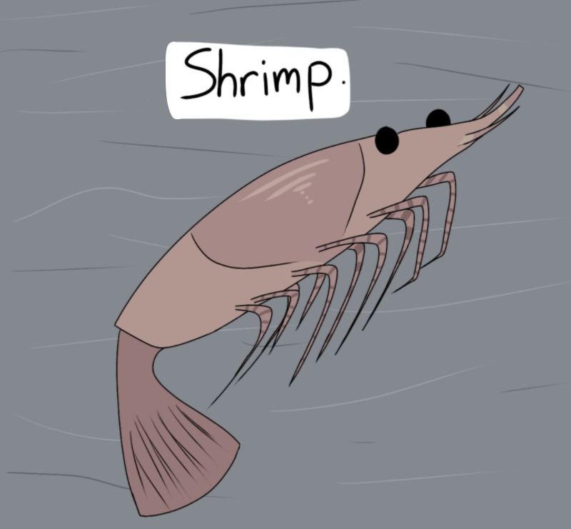 Shrimp | WEBTOON