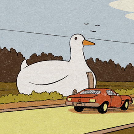 Meanwhile in a Duck! | WEBTOON