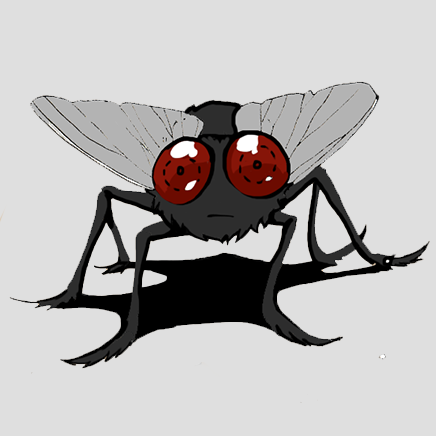 House Fly | WEBTOON