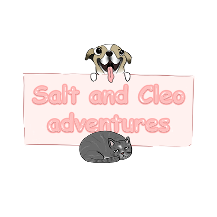 Salt and Cleo Adventures | WEBTOON