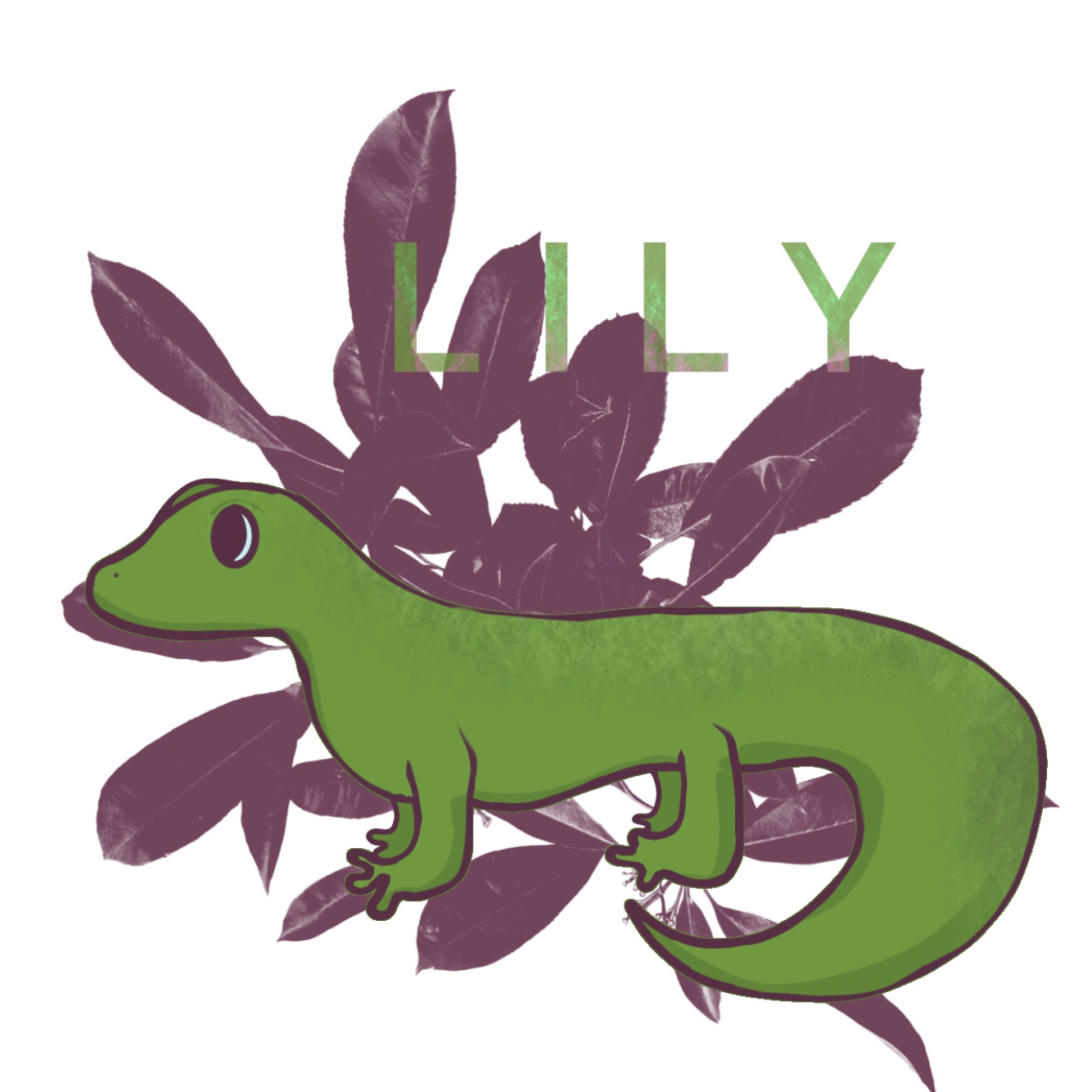 LILY | WEBTOON