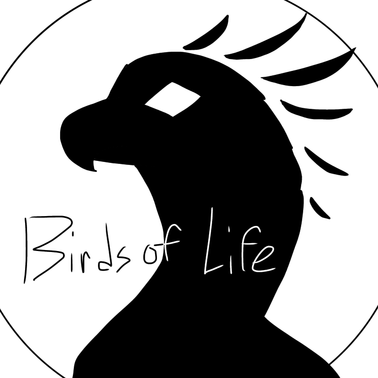 Birds of Life: SunRise on Darkness | WEBTOON