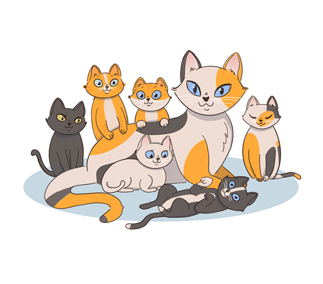 Daisy the cat and six little petals | WEBTOON
