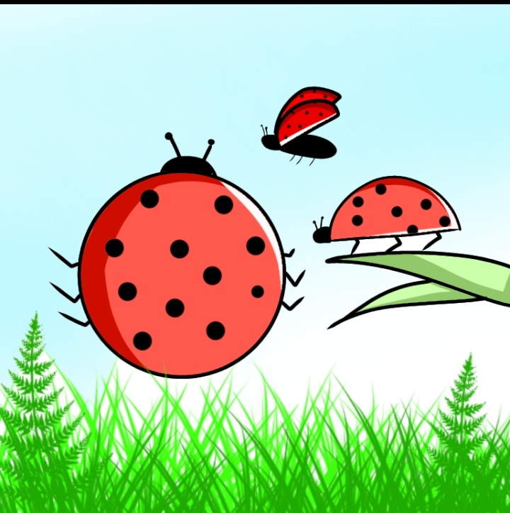 Lady Bugs | LINE WEBTOON