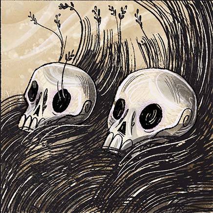 The Wicklow Skulls | WEBTOON