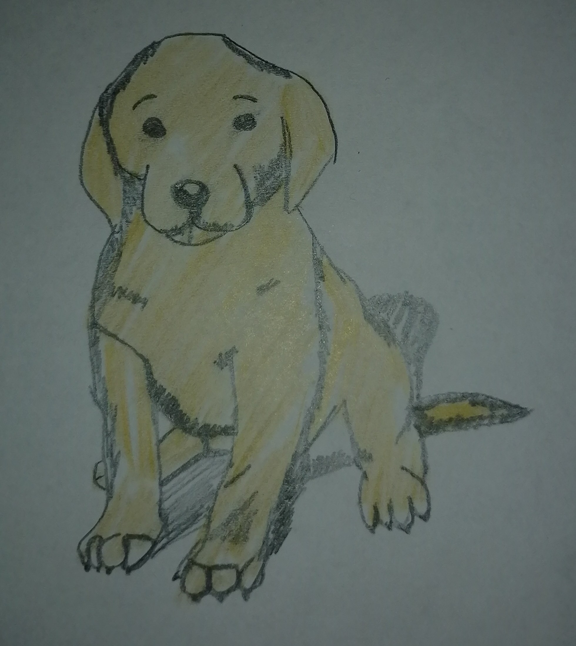 My beautiful dog | WEBTOON