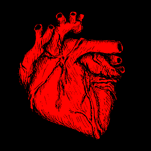 Stone Cold | WEBTOON