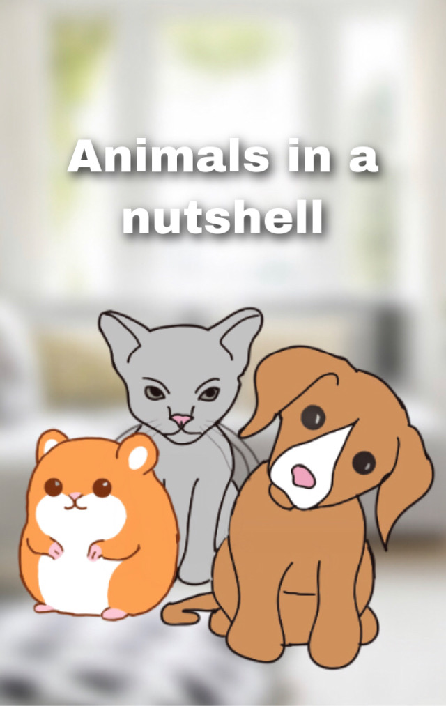 Animals In A Nutshell | WEBTOON