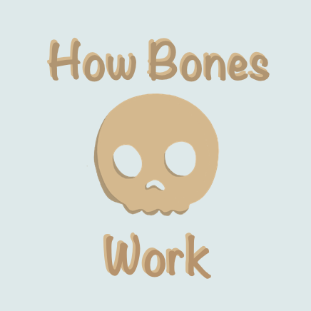 How Bones Work | WEBTOON
