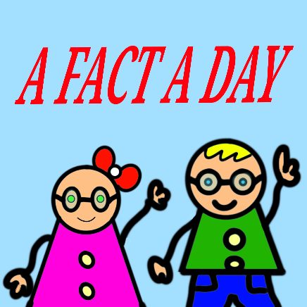 A Fact A Day | WEBTOON