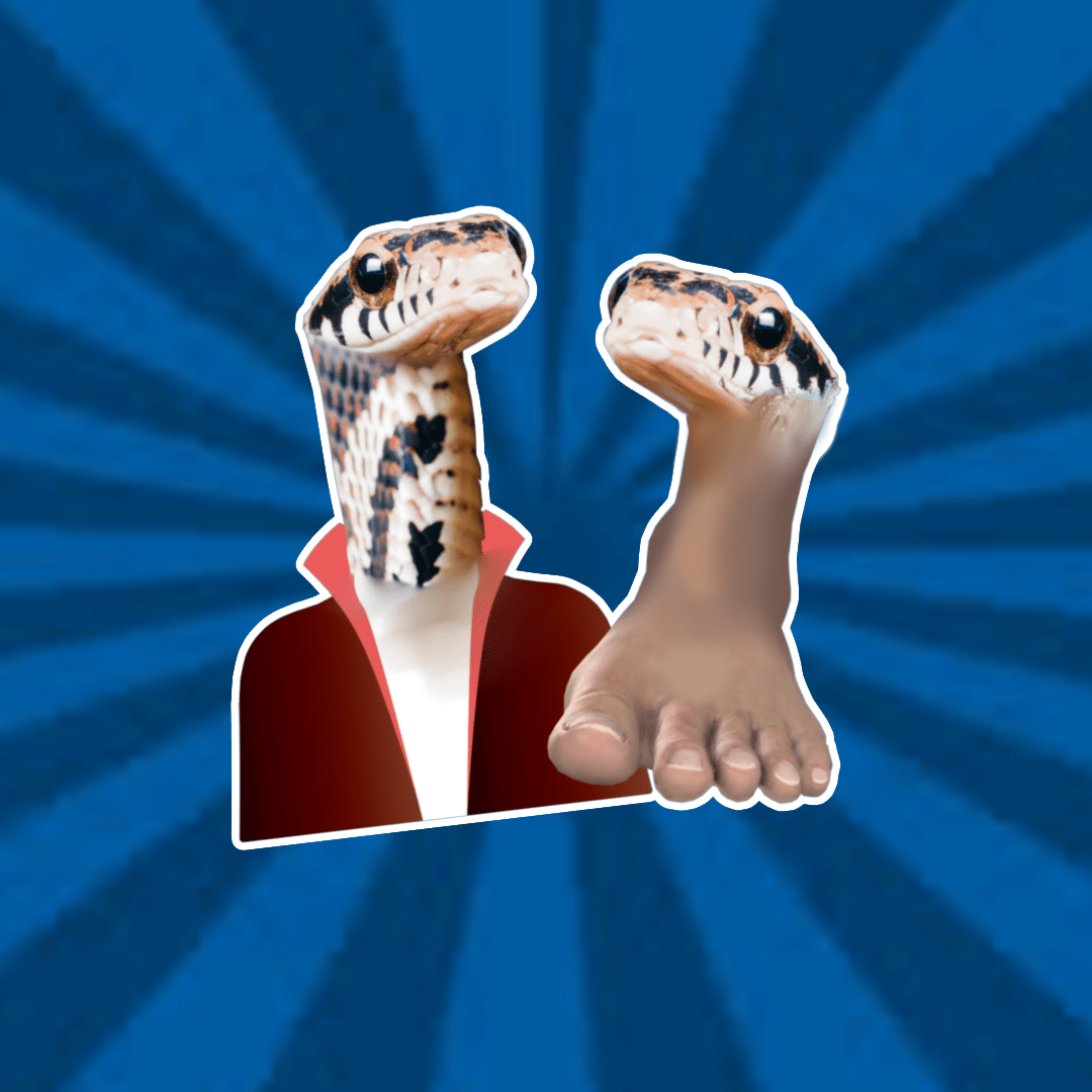 Sneck & Snankle | WEBTOON