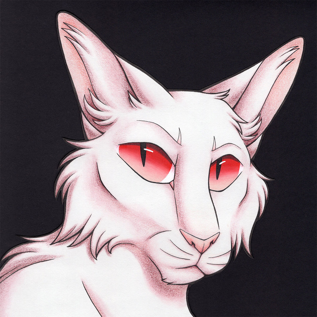 Warriors: StoneClan's Ghost | WEBTOON