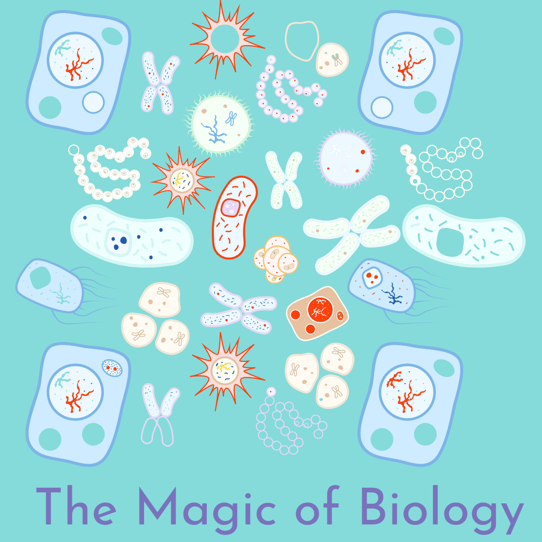 The Magic of Biology | WEBTOON