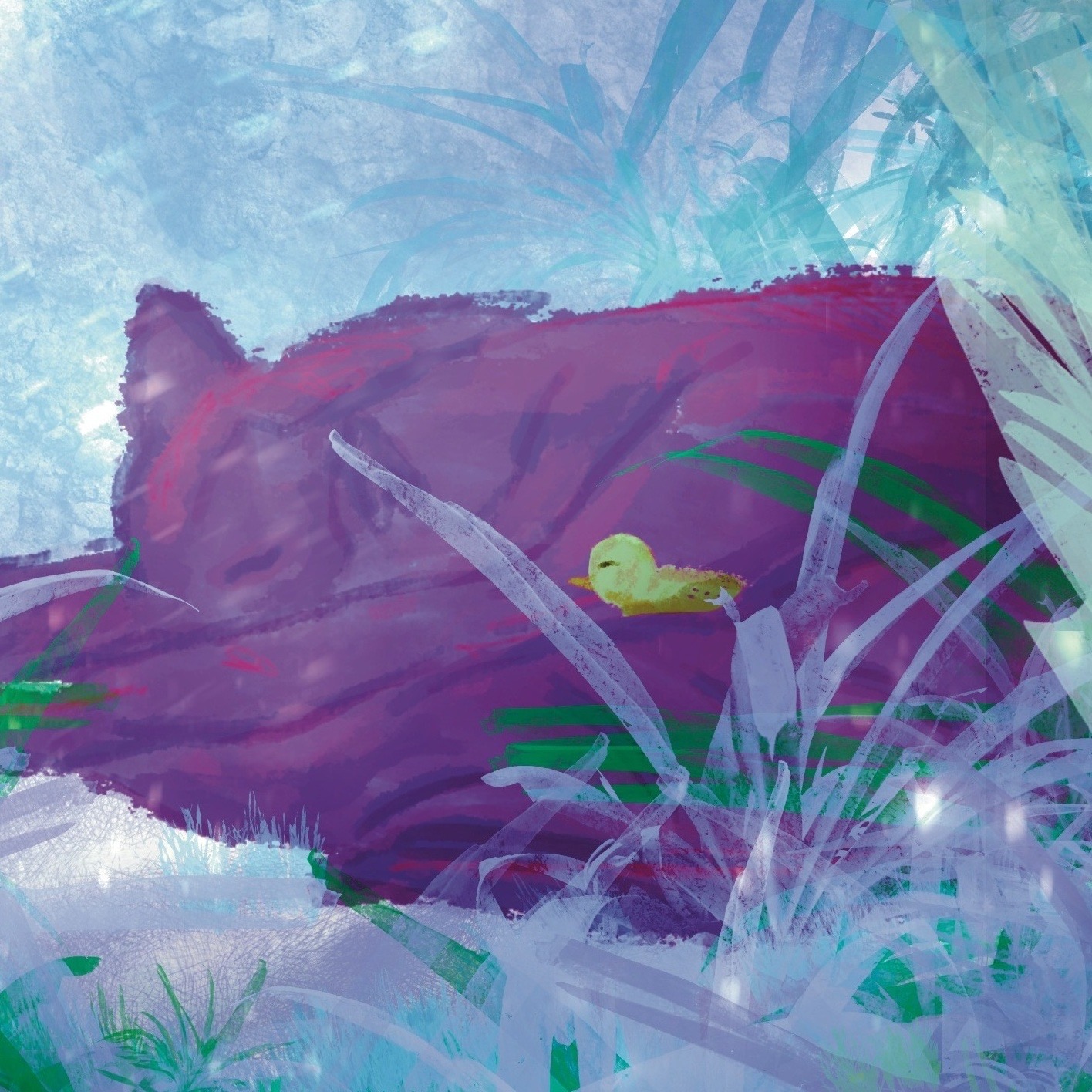 Cat & Duck | WEBTOON