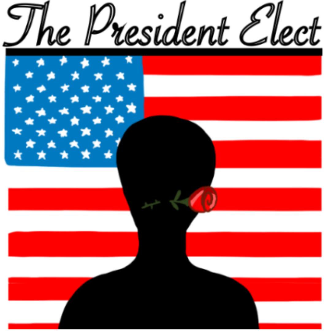 The President Elect | WEBTOON