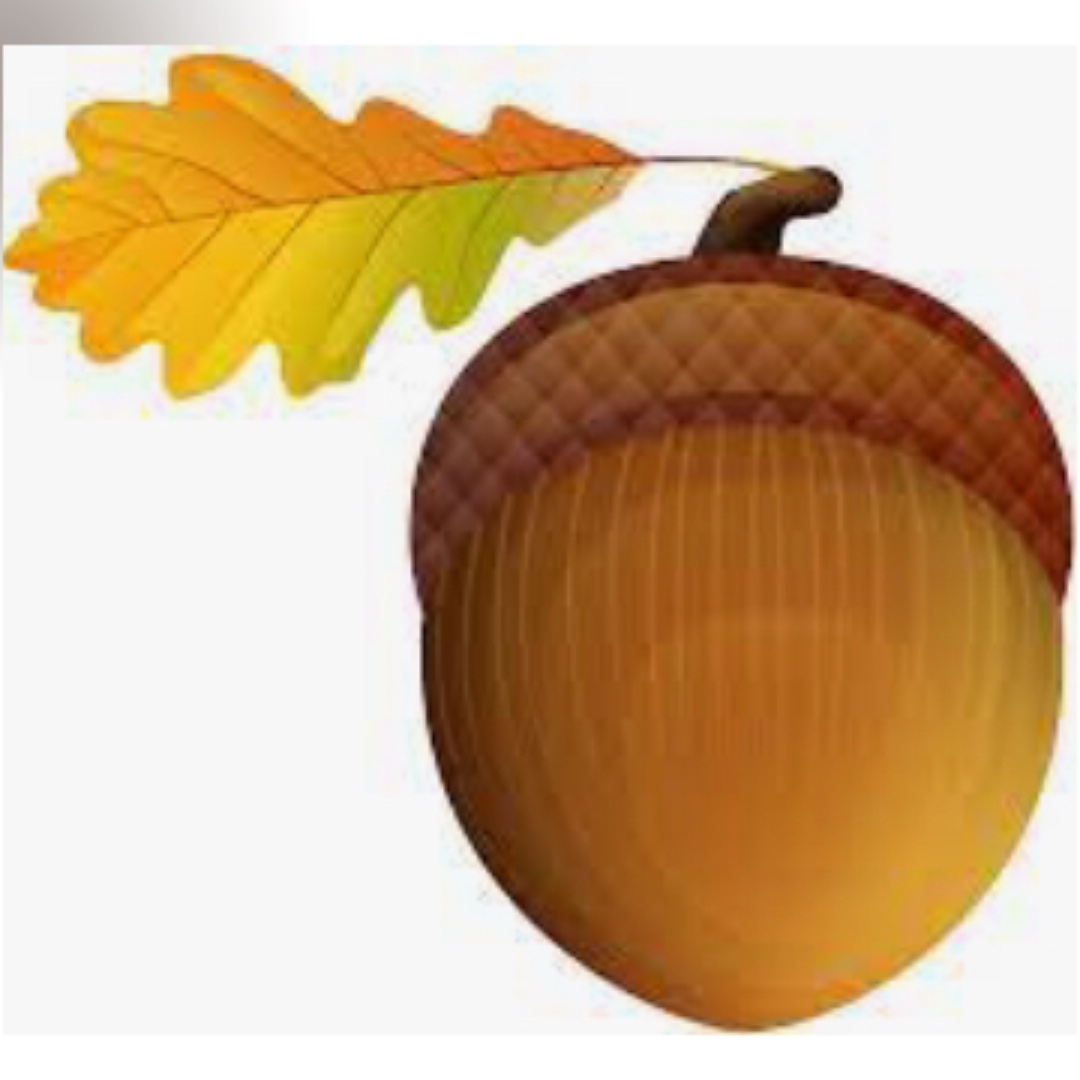 Acorn Comic Series | WEBTOON