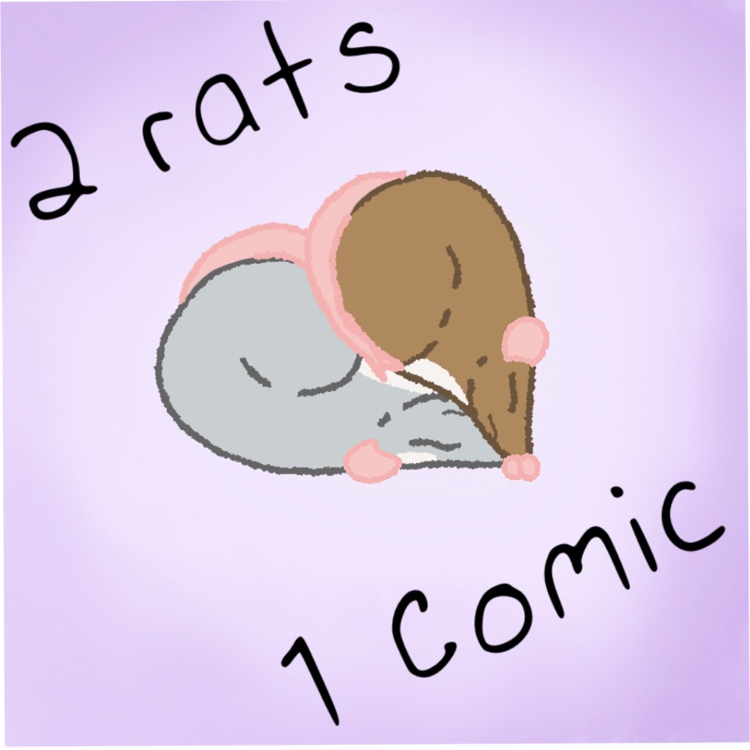 2 rats 1 comic | WEBTOON