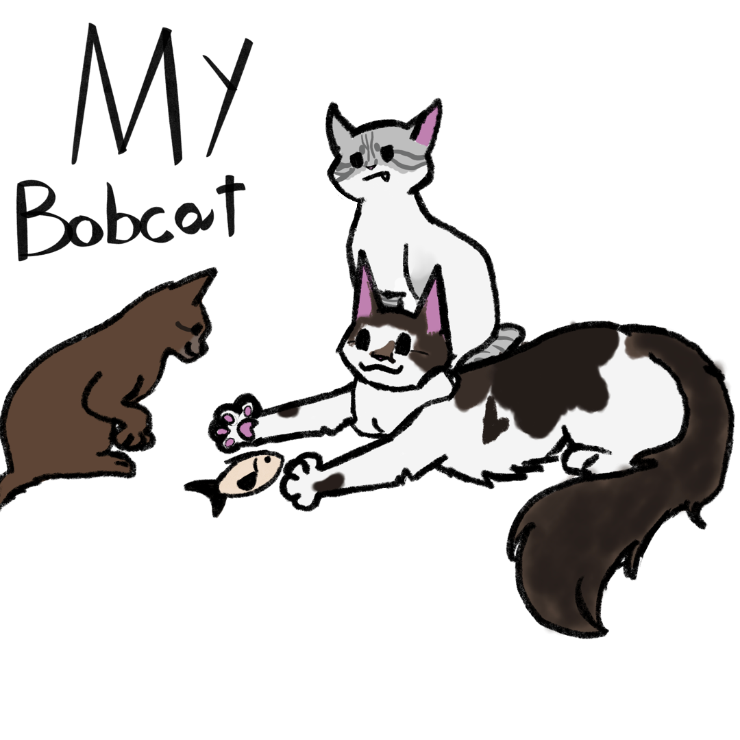 My Bobcat | WEBTOON