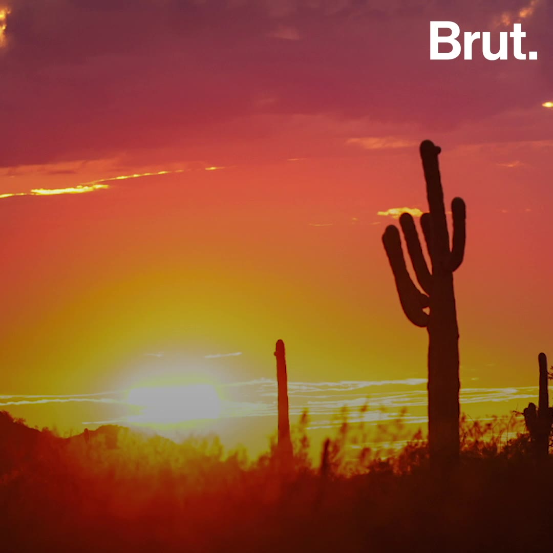 At the CrossRoads | WEBTOON