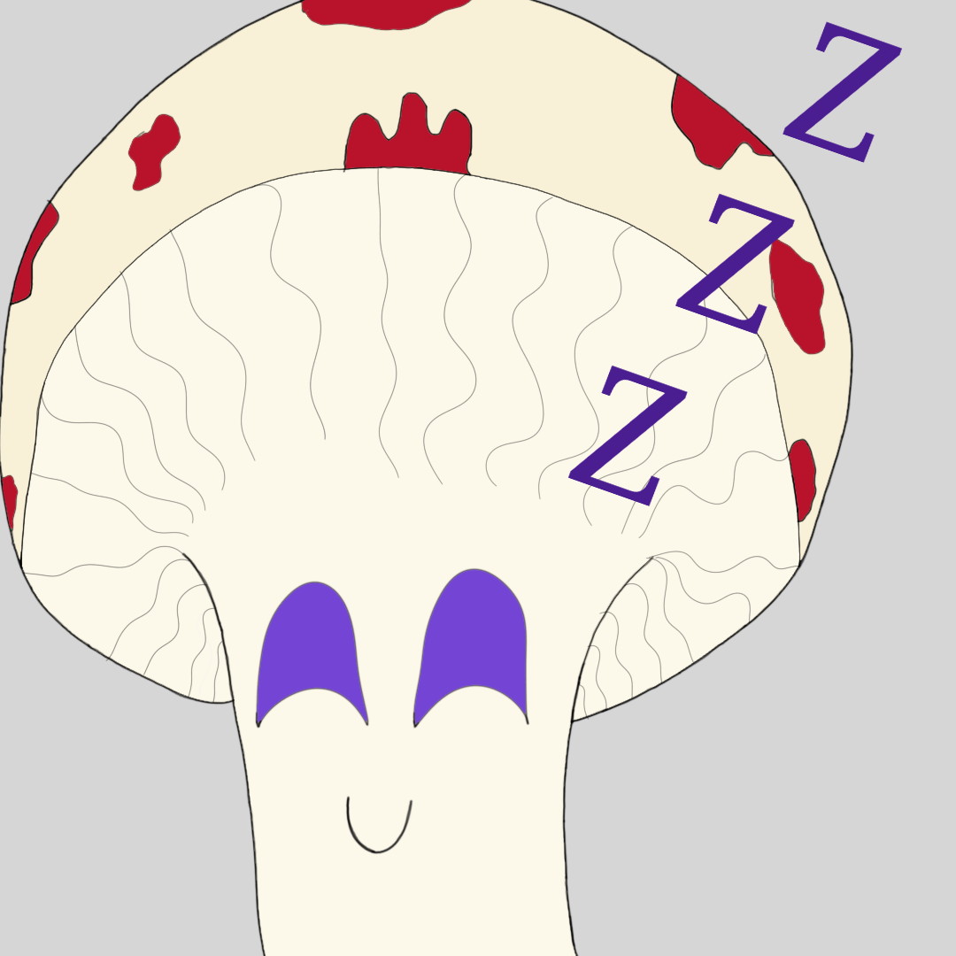 Life of a Very Sleepy Mushroom | WEBTOON