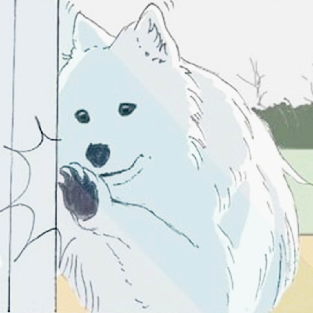 Wolfy le Samoyède | WEBTOON