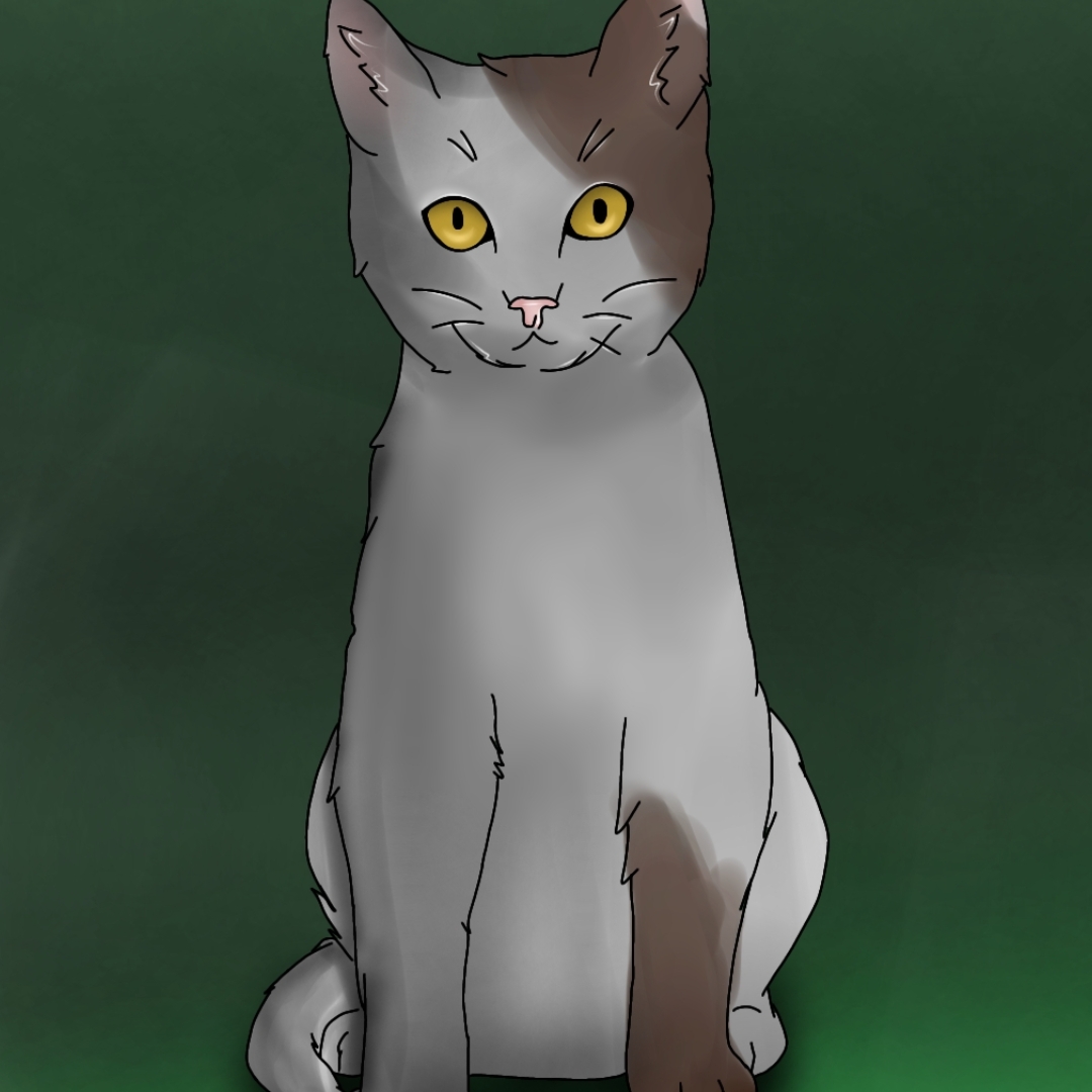 Jasper the cat | WEBTOON