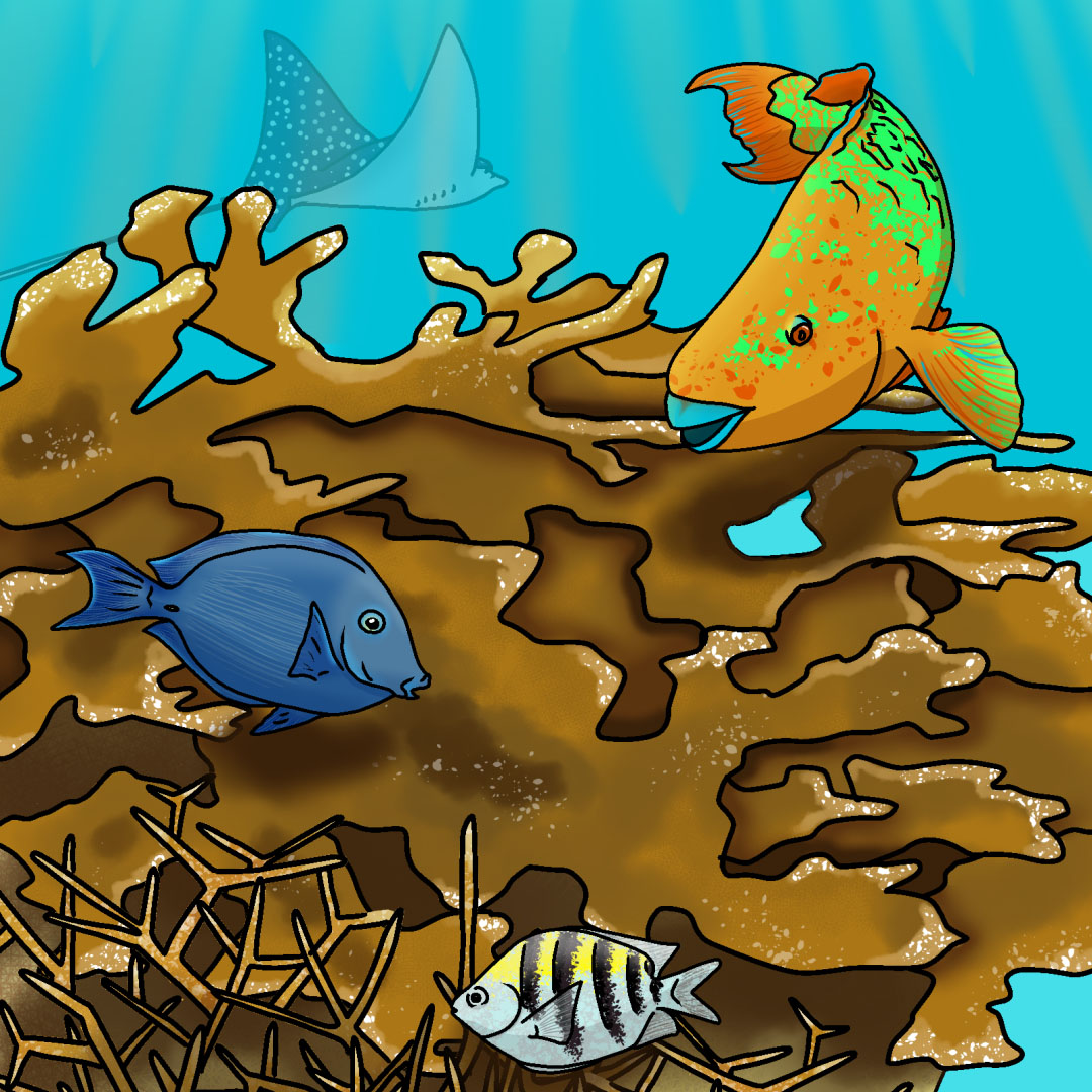 A Coral Reef Tale | WEBTOON