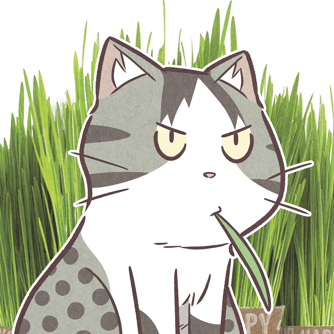 I Adopted A Cat | WEBTOON