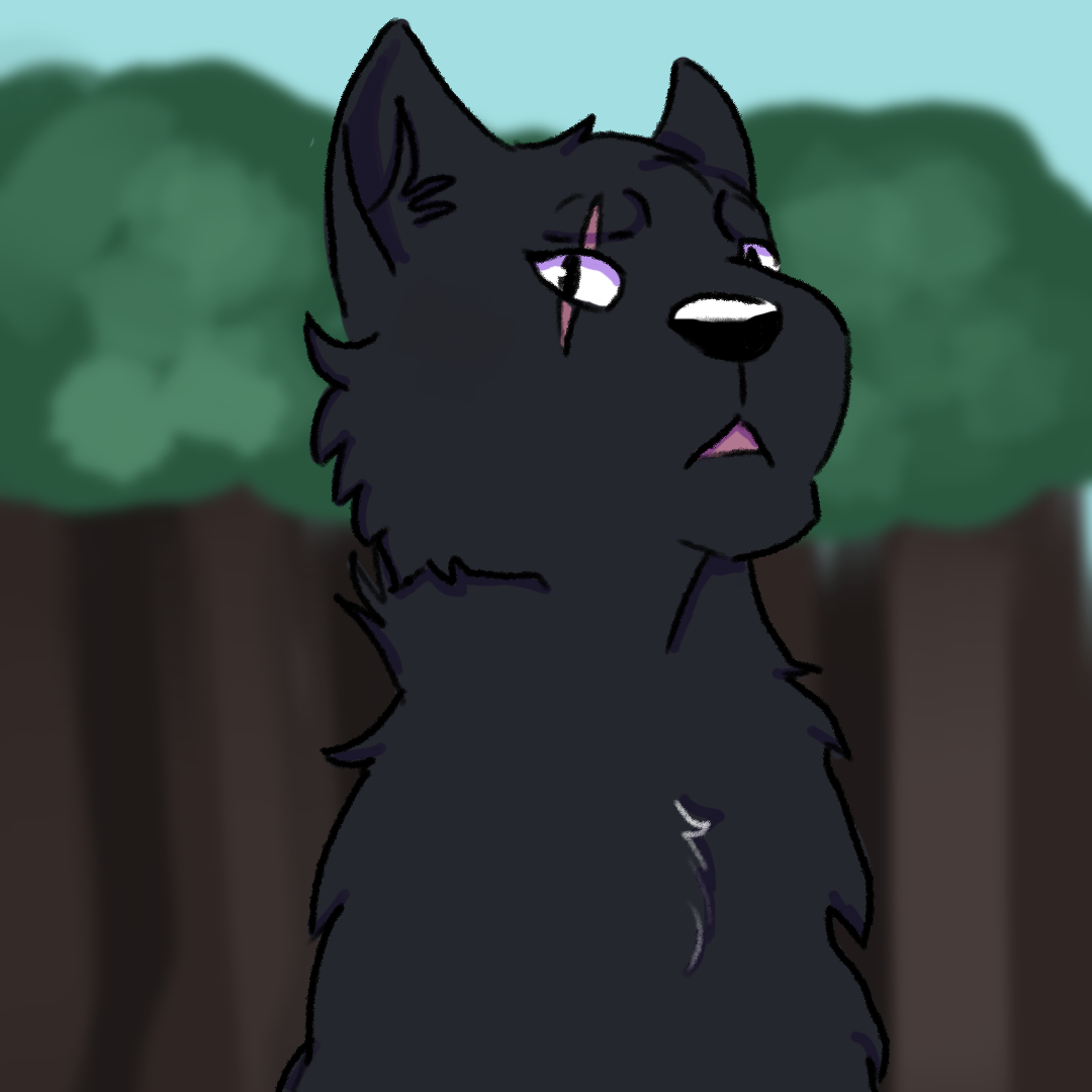 Eyes of the Grey | WEBTOON